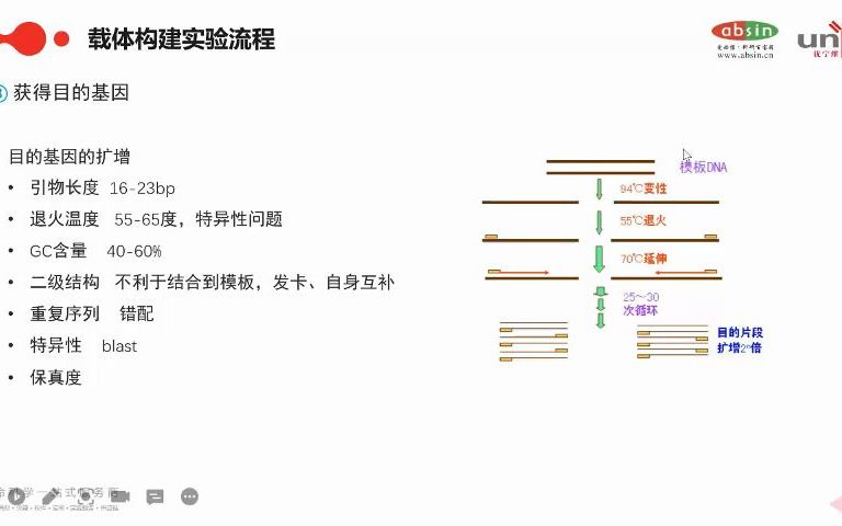 载体构建流程详解-获得目的基因