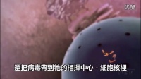 病毒如何在人体内繁殖?