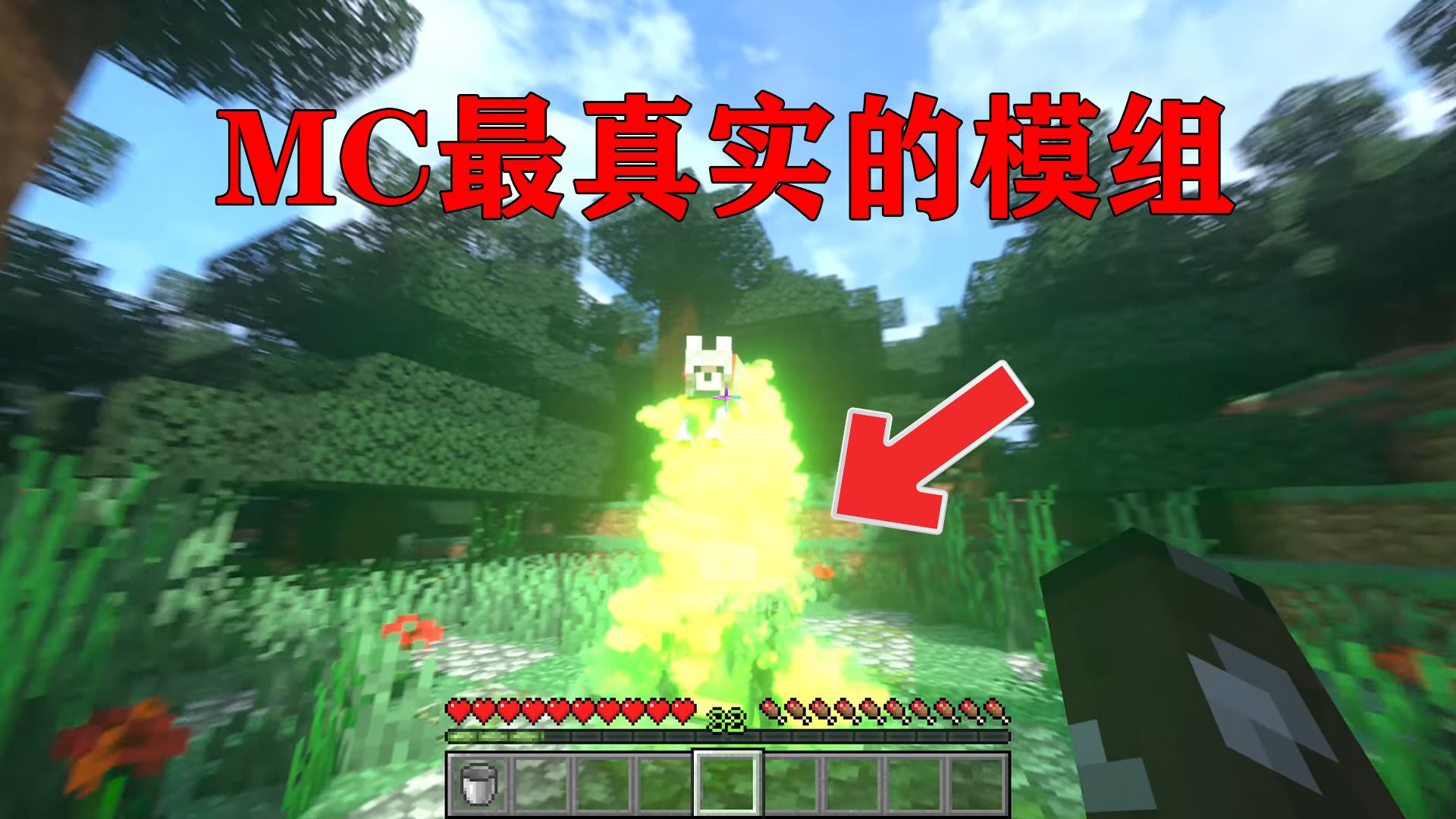 我的世界:最真实的药水,MC最真实的模组!
