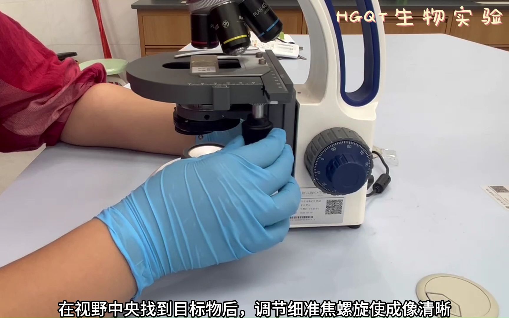 小老师xxw | 使用显微镜观察水棉永久装片