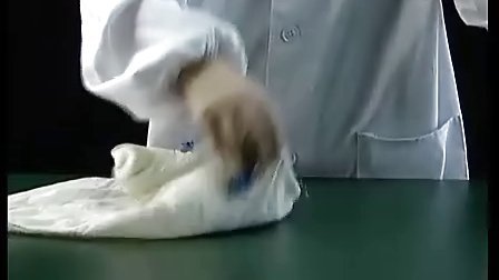 必修-模拟动物种群密度调查的标记重捕法