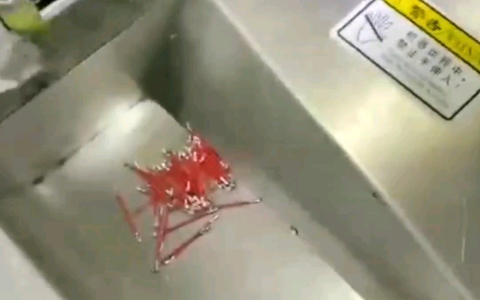 全自动五线双头机