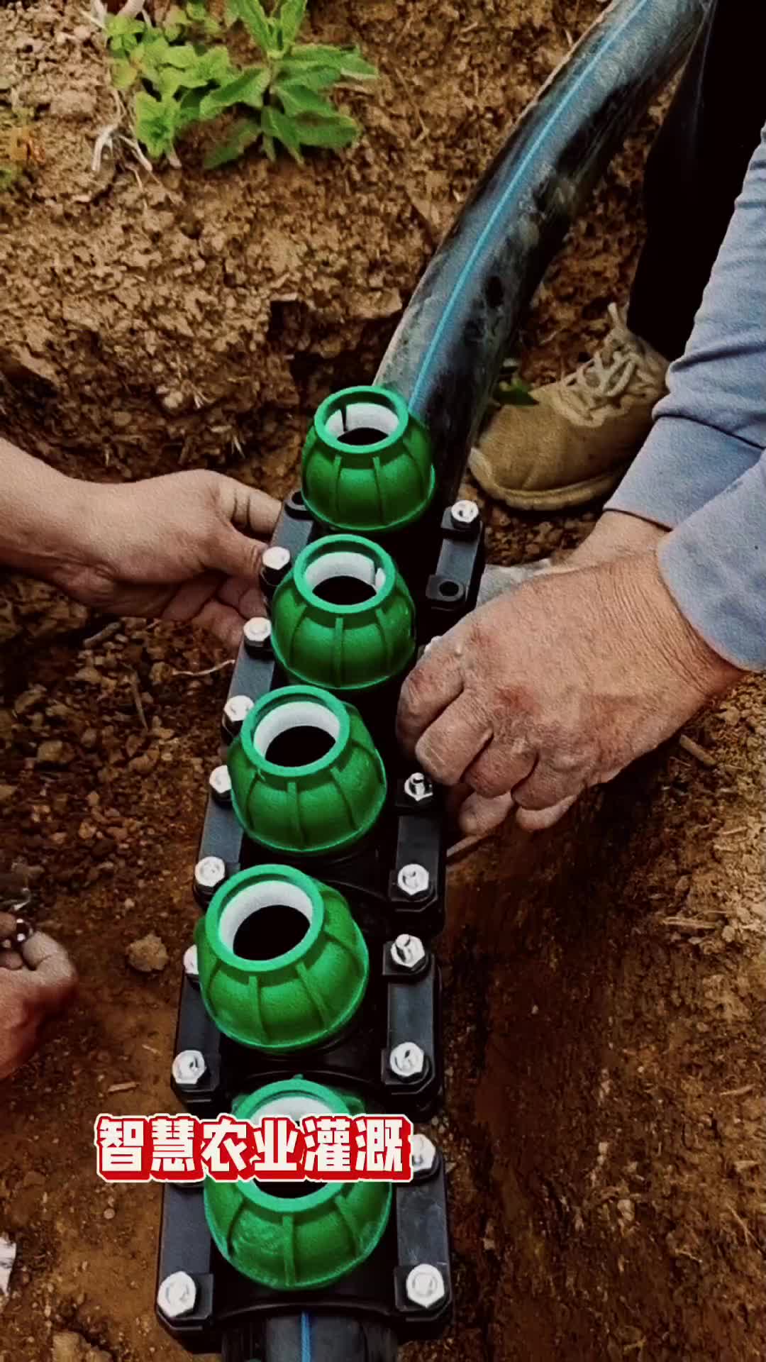 快连管件安装#灌溉#农业#管道#施肥#灌溉水肥一体化