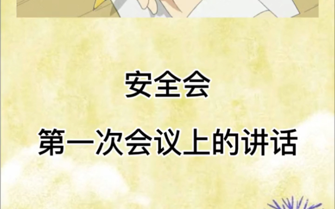 安全会议上的讲话