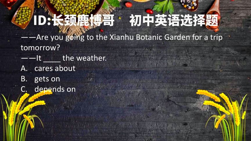 初中英语选择题,care about与depend on含义你知道吗?别错过