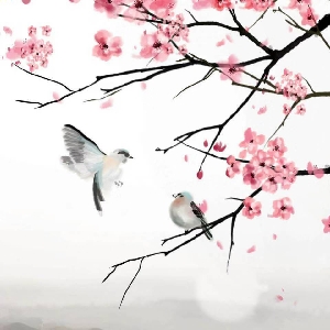 长剑-11 
