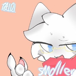 SmollerRisker 