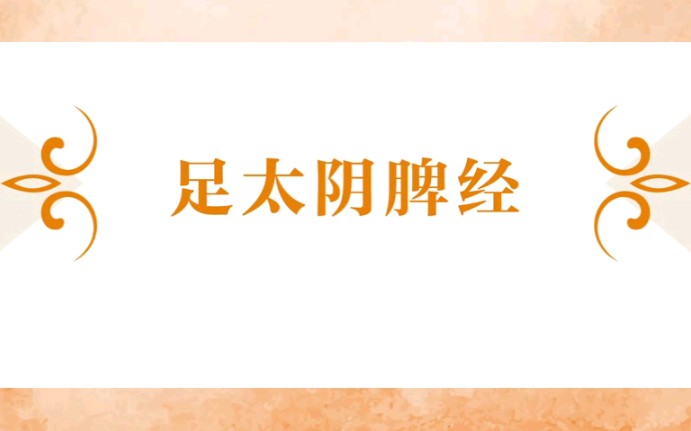 穴位视频-足太阴脾经1