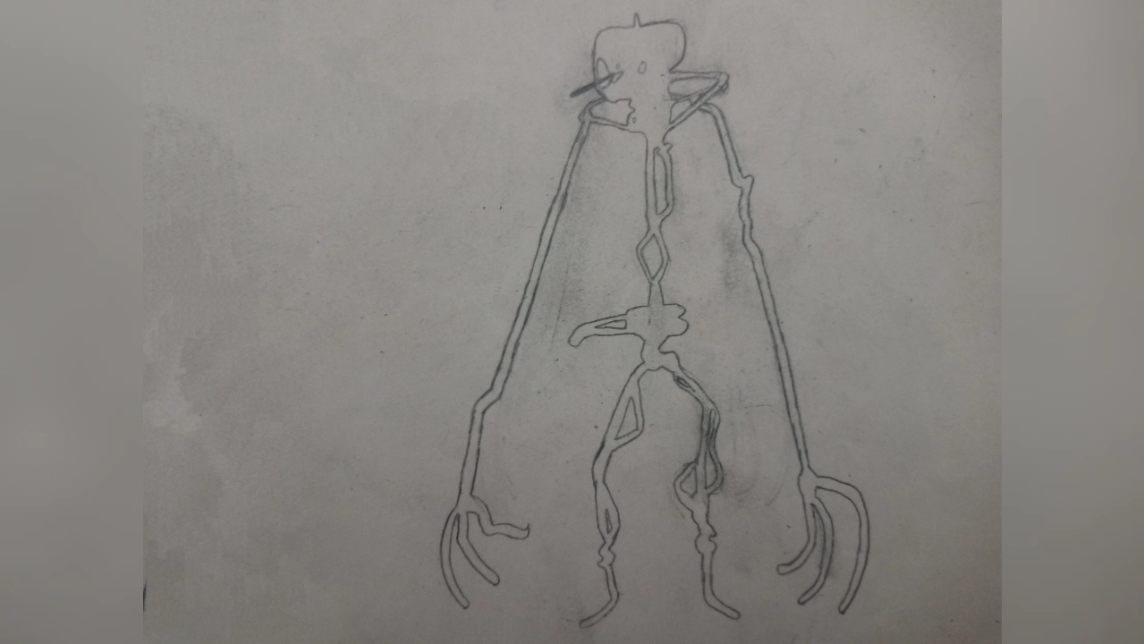 按照图片画的后室实体细菌