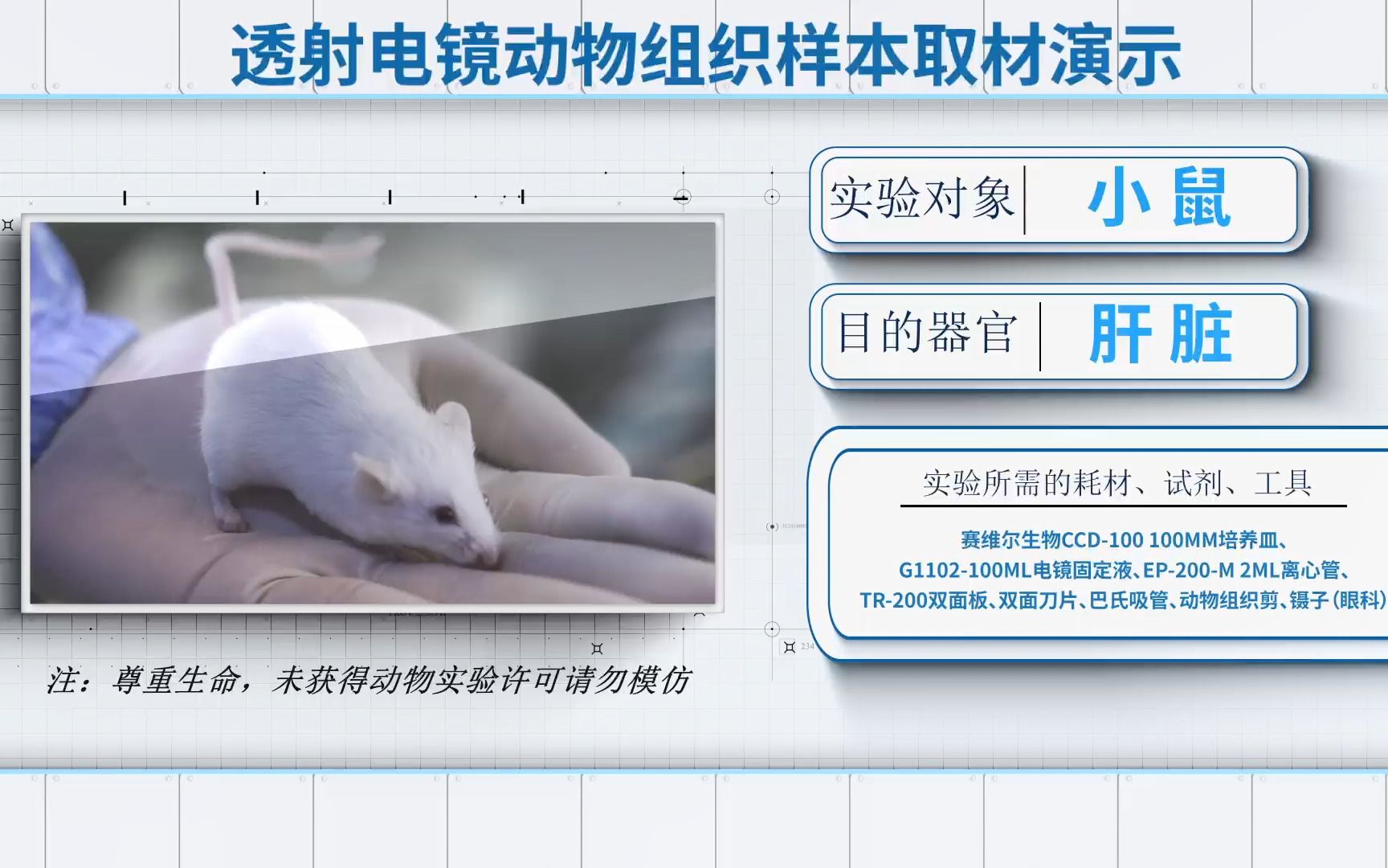 透射电镜动物组织样本取材演示