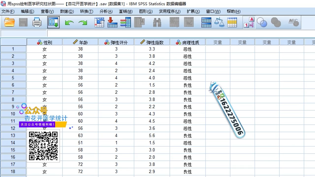 SPSS数据分析绘制柱状图的详细步骤(1)——杏花开医学统计