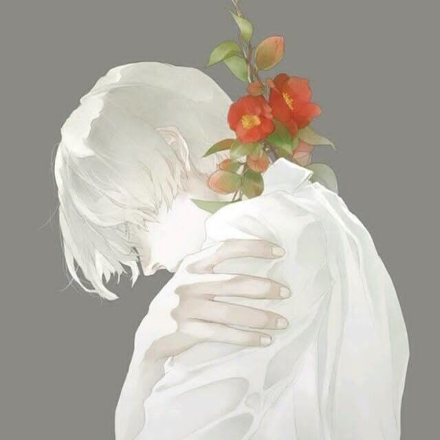 刺猬____ 