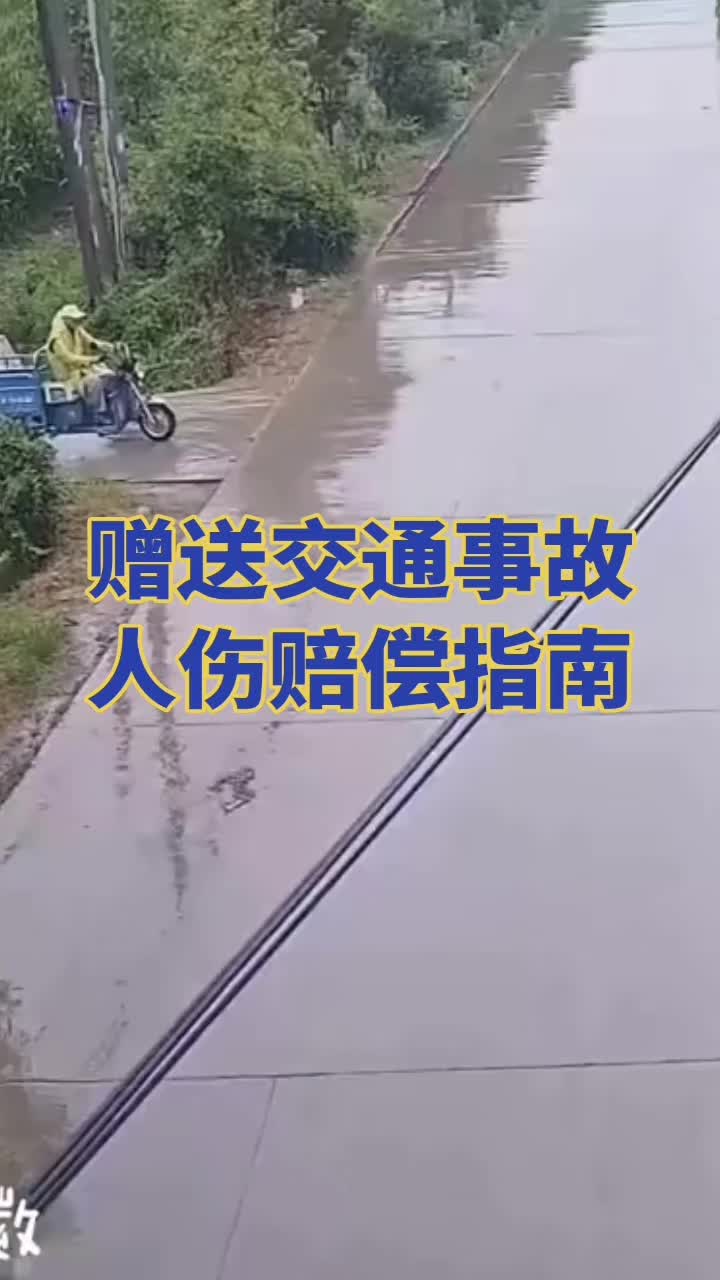 交通事故人伤赔偿指南 交通事故人伤赔偿处理指引 当交通事故导致...