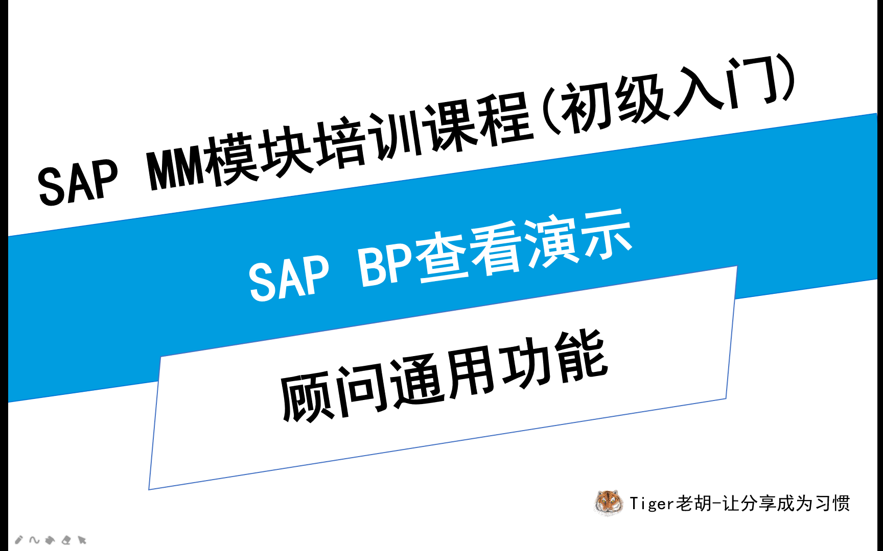 SAP BP查看演示