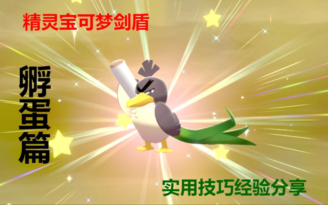 《精灵宝可梦剑盾》实用技巧和经验分享之四:孵蛋要准备什么?孵蛋...