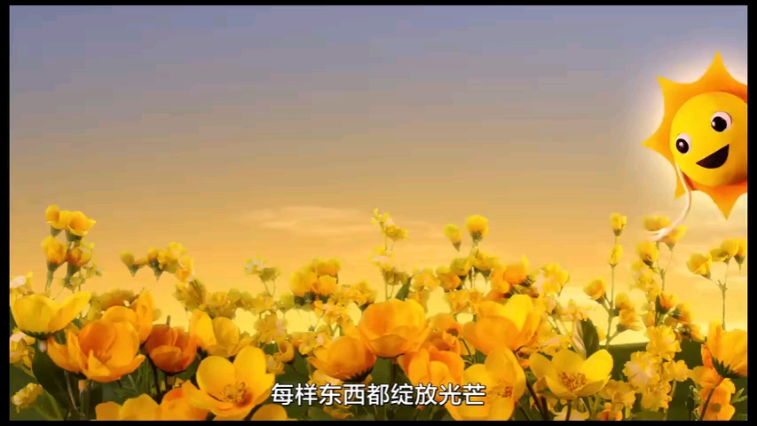 B站超好看的黄色视频