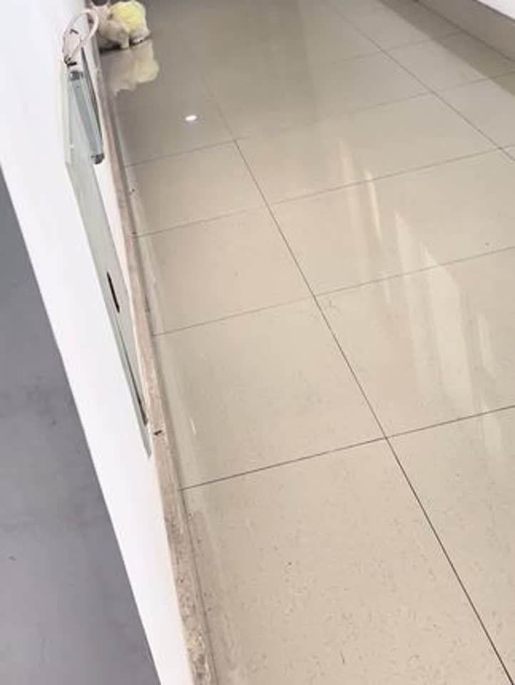 第一次社会化训练,走了三圈,一圈比一圈好#我镜头下的小猫