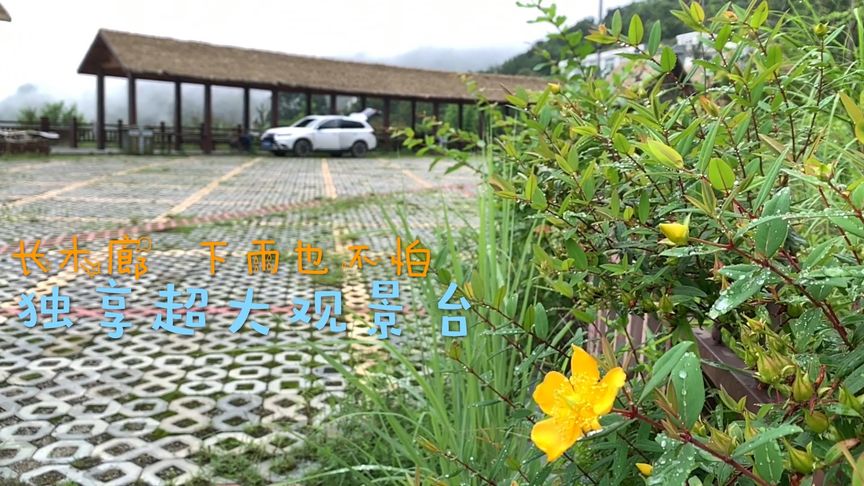 泸定去磨西古镇途中驻车超大观景台,2人1狗睡得超级舒服