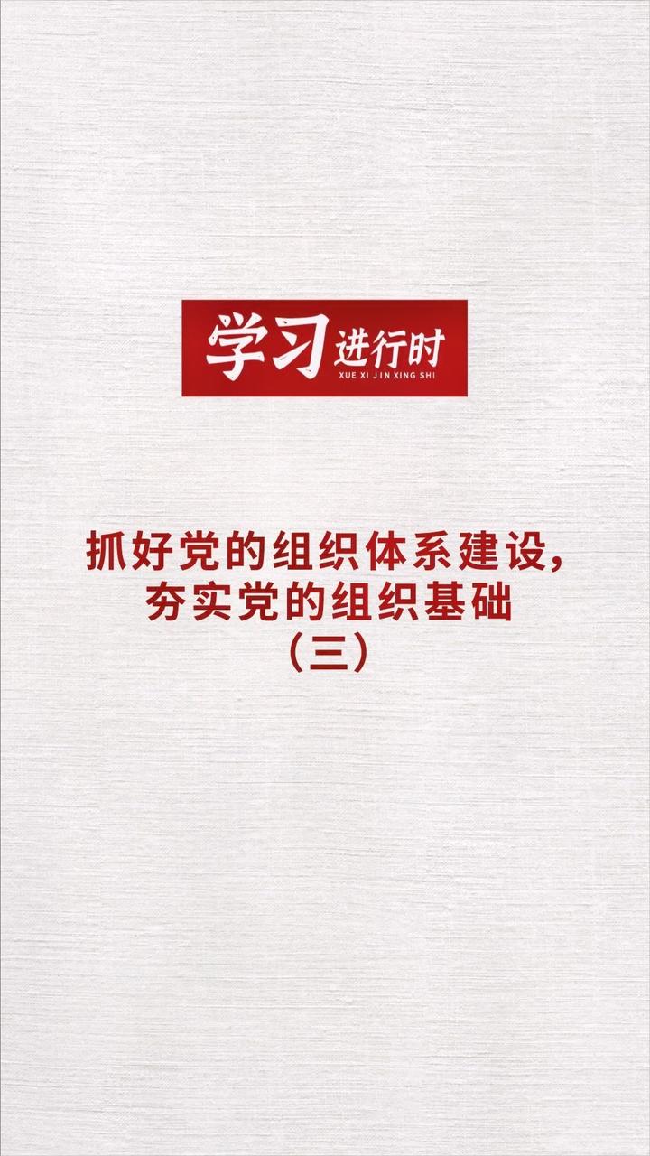 抓好党的组织体系建设,夯实党的组织基础(三)