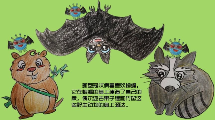 手绘漫画故事《一个叫新型冠状病毒的坏家伙》火爆网络