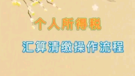 个人所得税汇算清缴个人操作你学会了吗