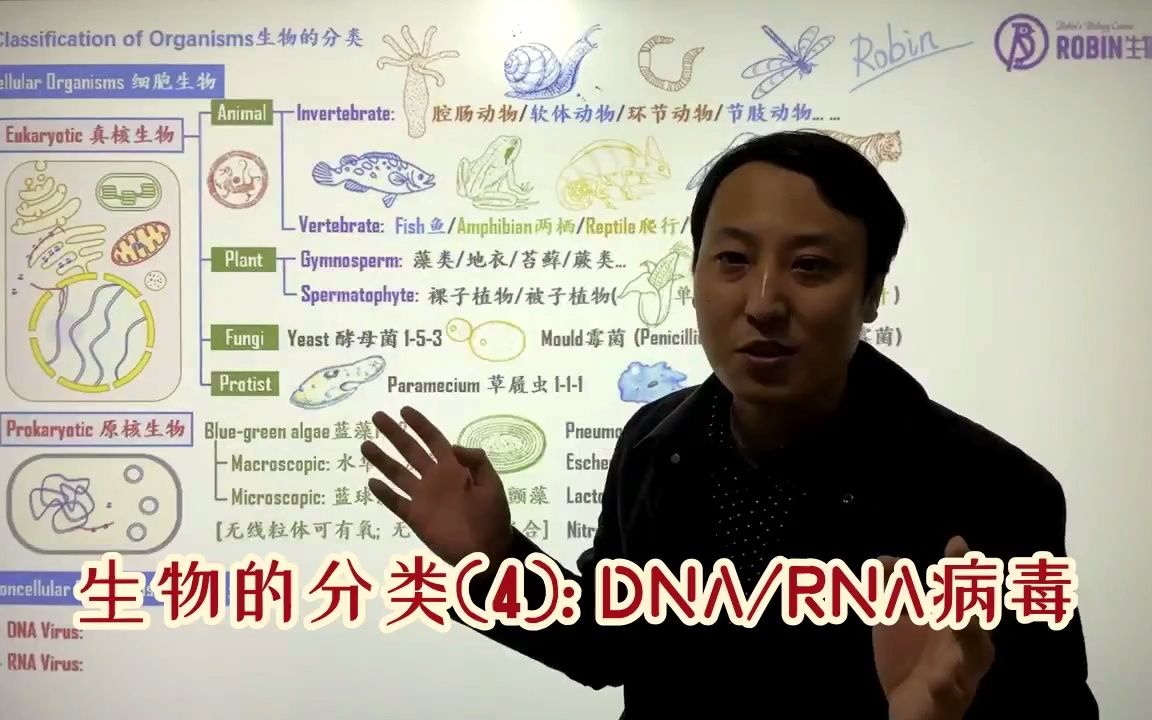 生物的分类(4):DNA病毒和RNA病毒
