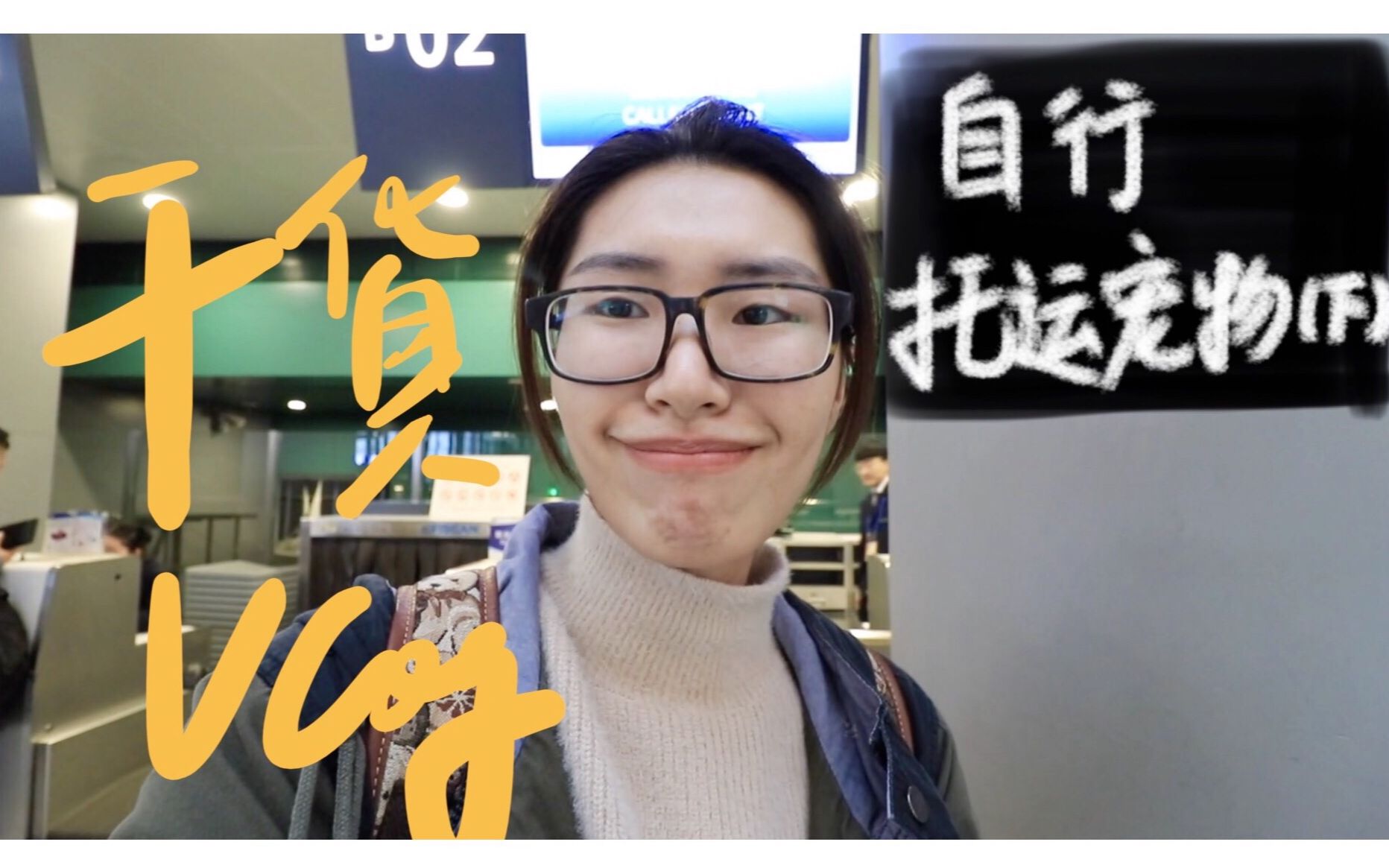 「干货Vlog17!」猫咪自行托运全过程!(下) | 国内宠物猫咪托运要多少钱?
