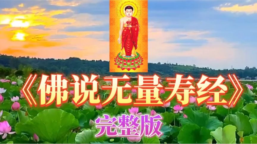 《佛说无量寿经》完整版!
