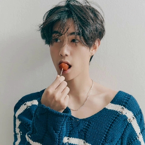 少爷的爱豆安利所 