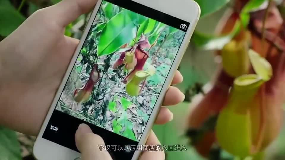快应用是个啥 竟然要和微信小程序扳手腕