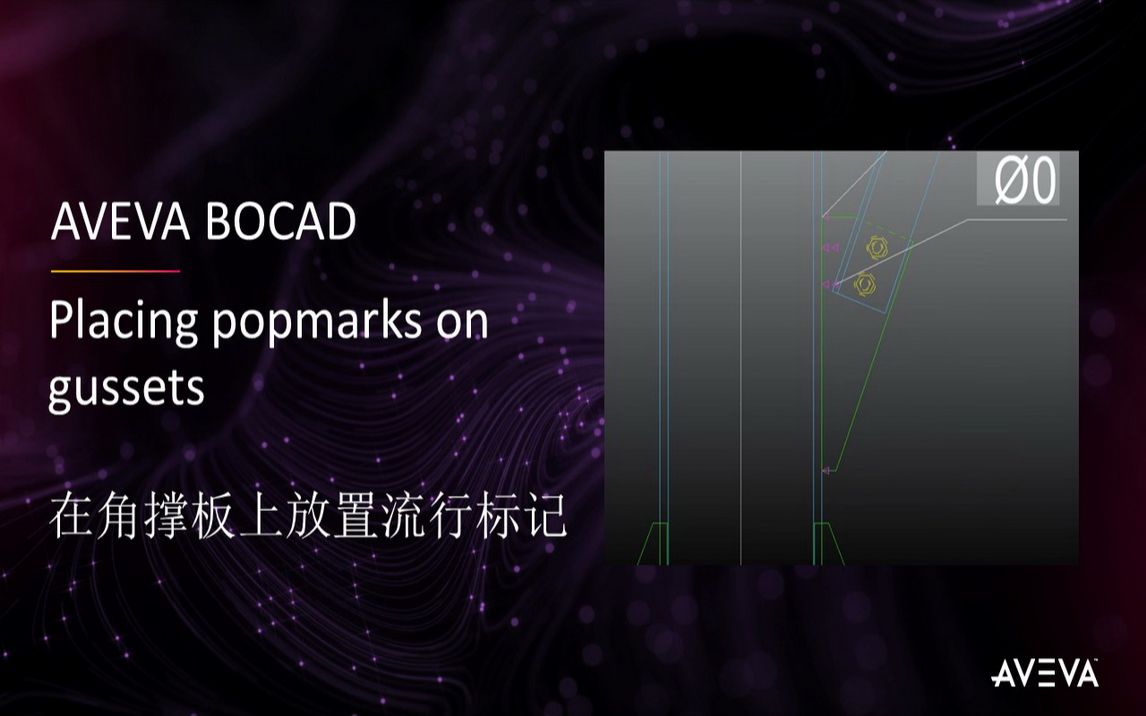 AVEVA Bocad常见问题解答044-衬板上的流行标记