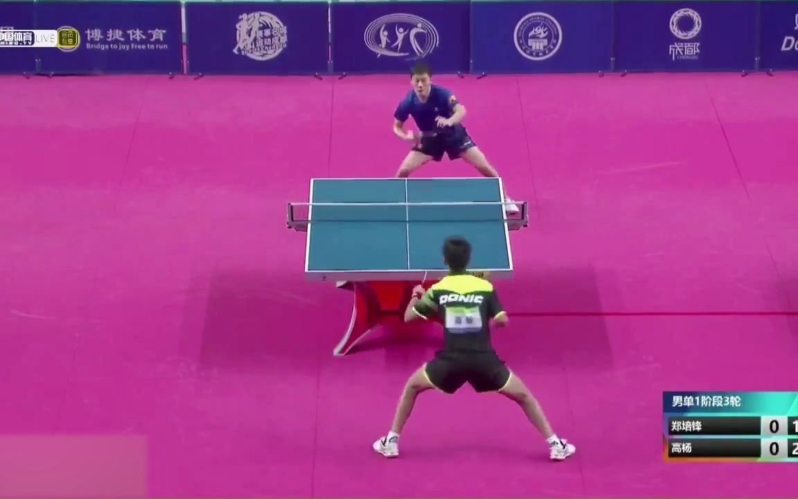 【2021全运会】郑培锋 vs 高杨