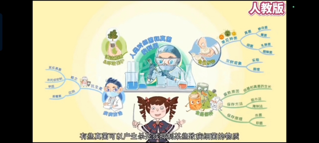 八年级上册人教版生物第五单元第四章第5节人类对细菌和真菌的利用