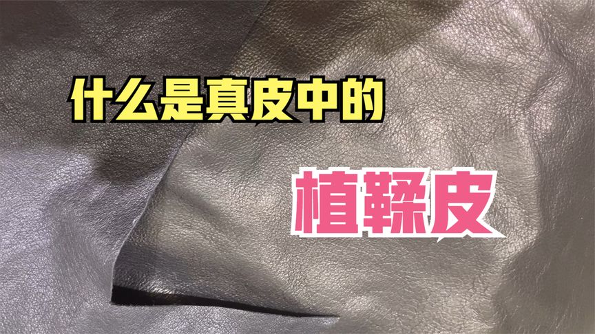 真皮皮衣中的植鞣皮是什么皮料,它有什么特性和优缺点呢?