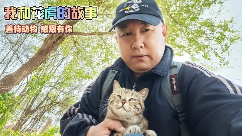 流浪动物的一生短暂且坎坷,敬请善待它们