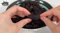 细数桑葚的3大功效,以及食用方法,这些人不易吃桑葚!