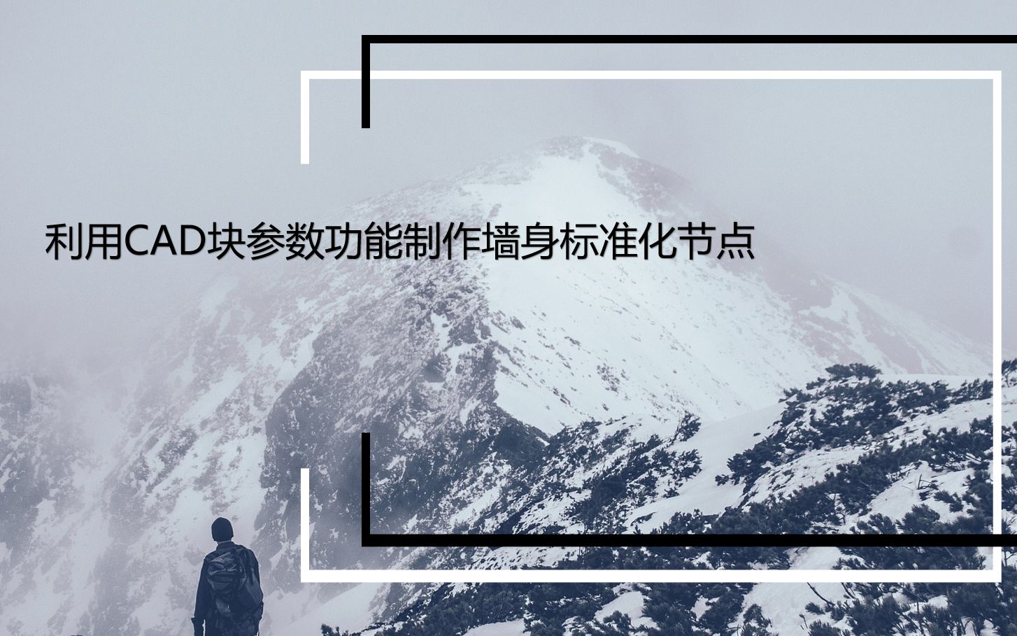 利用CAD块参数功能制作墙身标准化节点