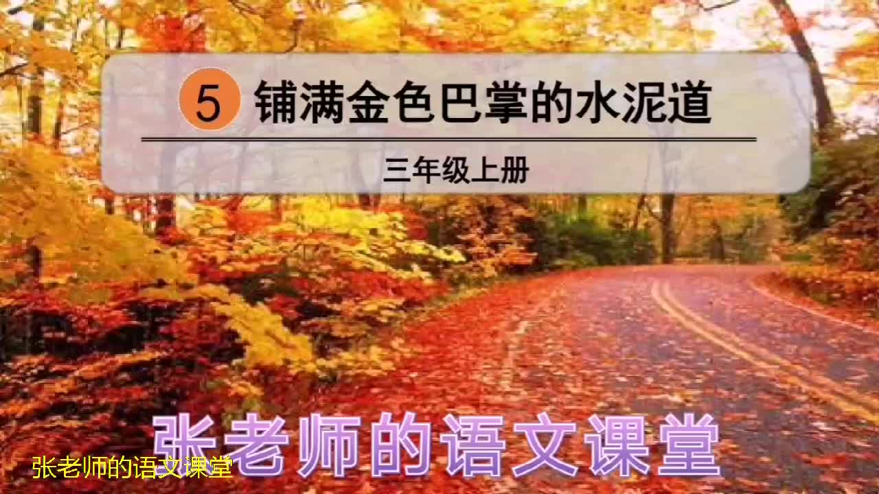三年级上《铺满金色巴掌的水泥道》,一段一段学习,学习课文内容