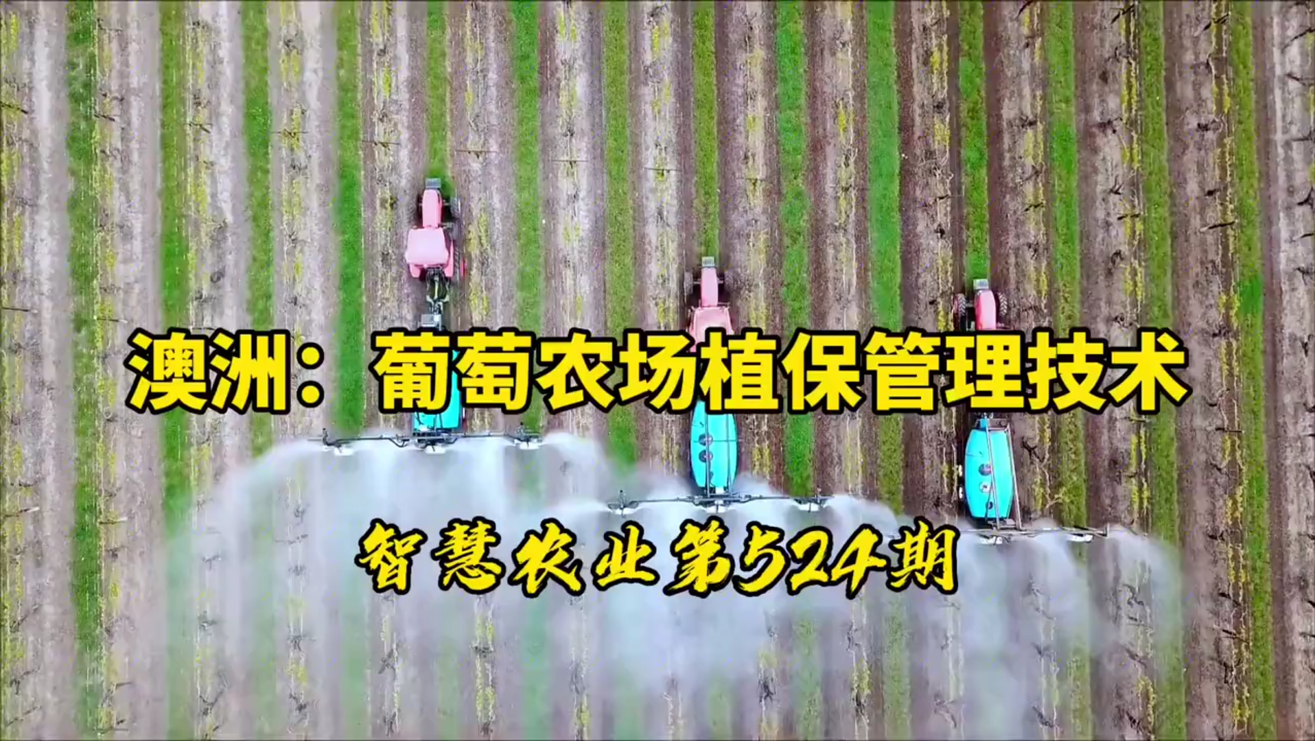 澳洲:葡萄农场植保管理技术