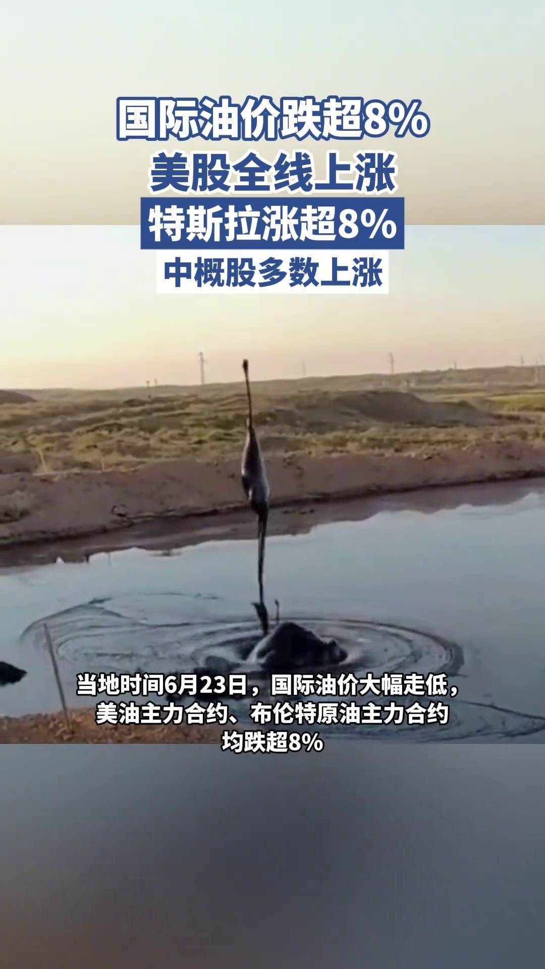 国际油价跌超8,美股全线上涨,特斯拉涨超8,中概股多数上涨中新经纬