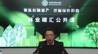 生态资产价值变现与林业碳汇项目开发
