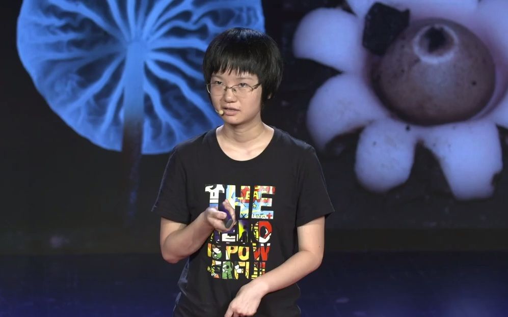 【微观菌物】微观的世界,原来居然长这样?神奇!