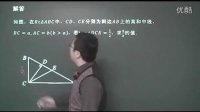 初中数学 锐角三角函数007