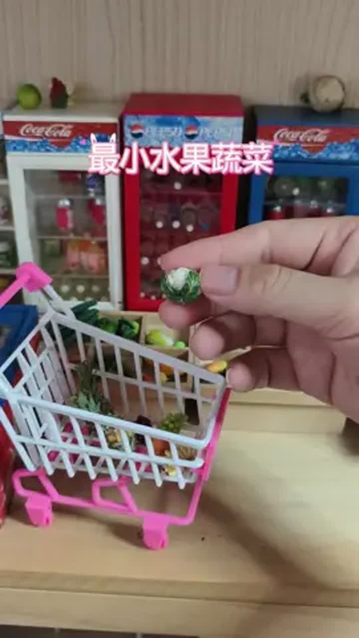 迷你厨房最小水果蔬菜 迷你厨房 迷你食玩