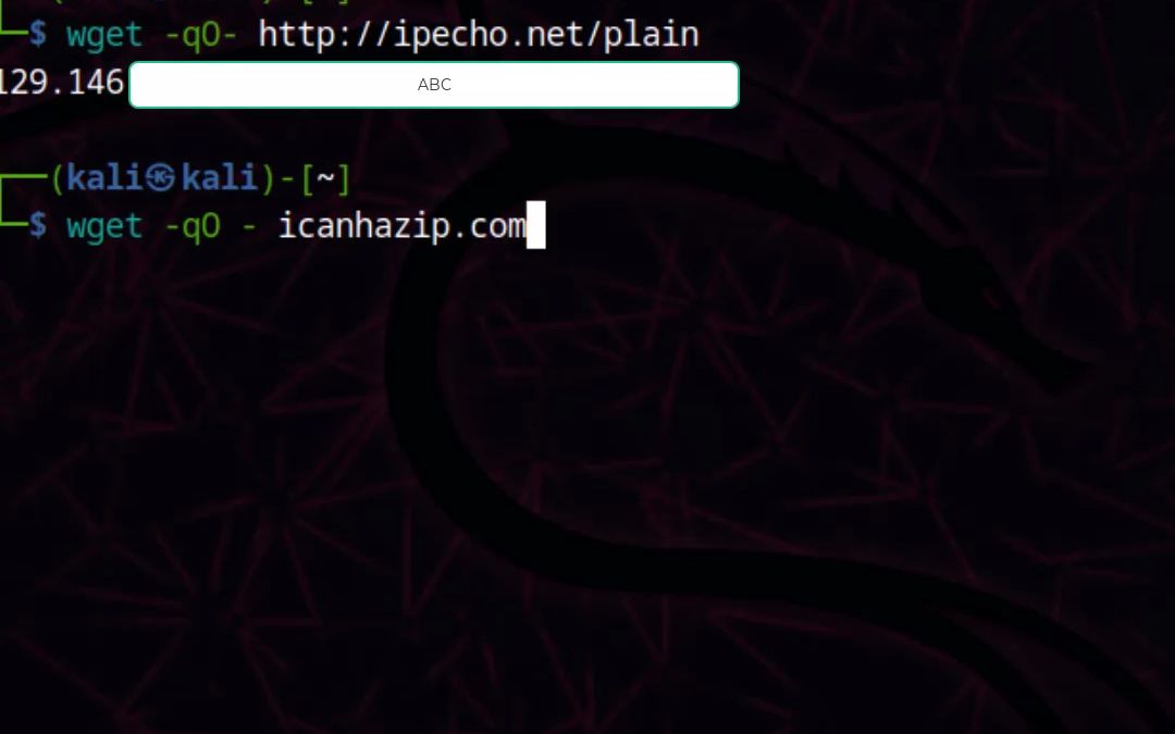 黑客如何通过命令行获取目标服务器公共IP地址,教你4种方式 #黑客 #...