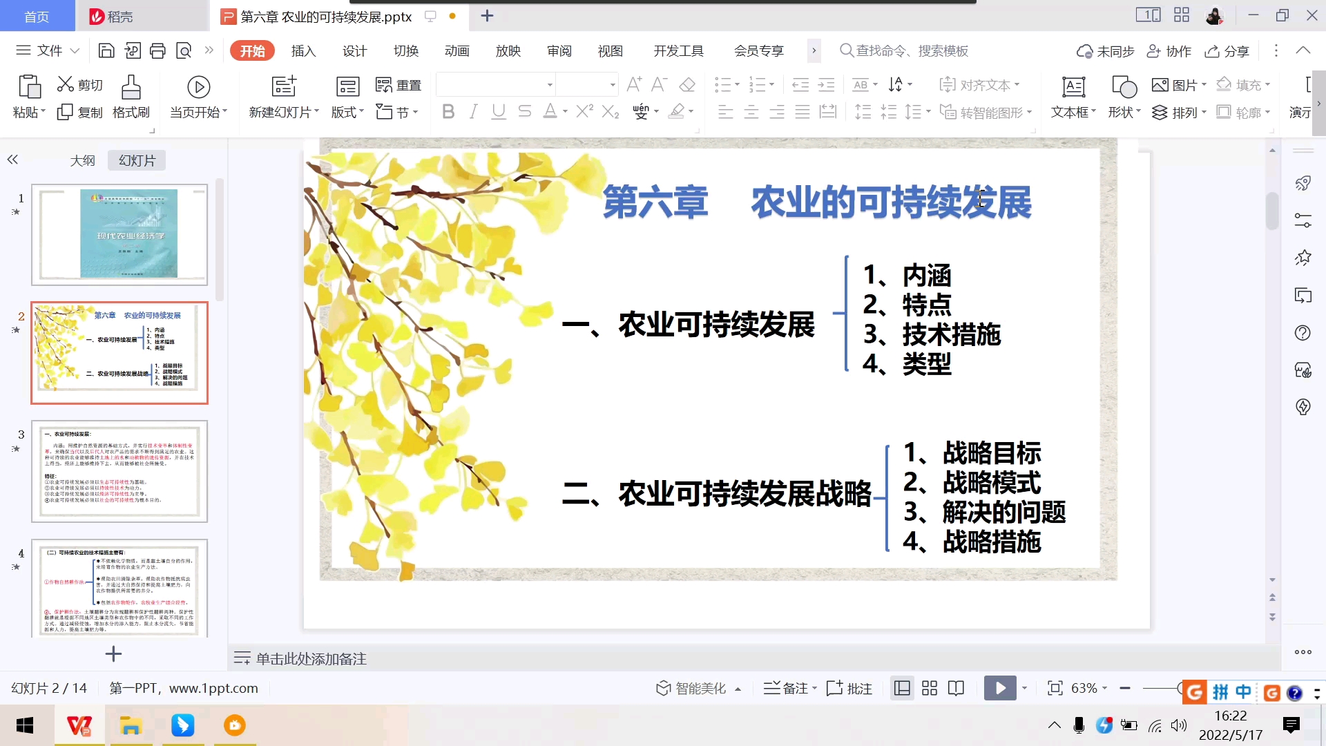 现代农业经济学 第六章 农业可持续发展～