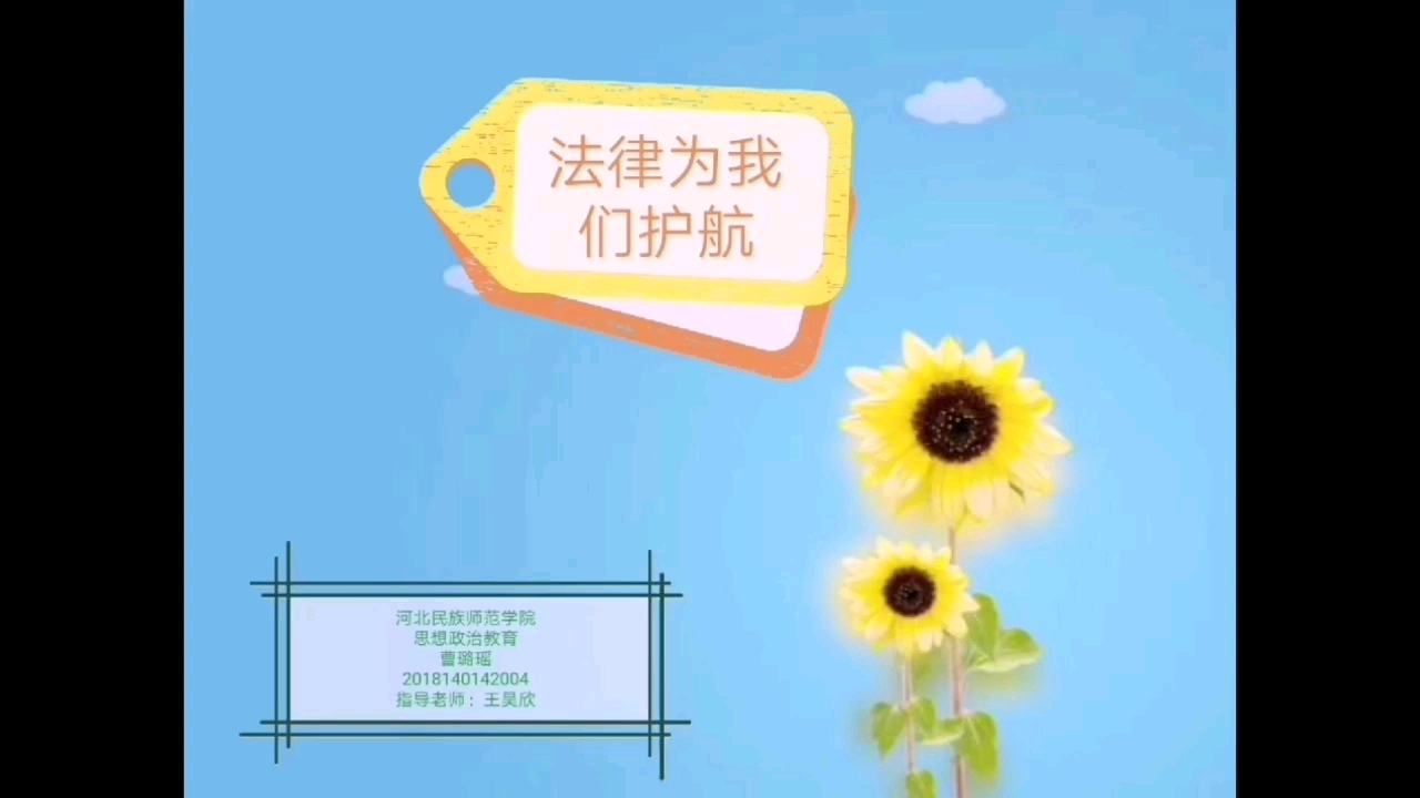 法律为我们护航微课视频