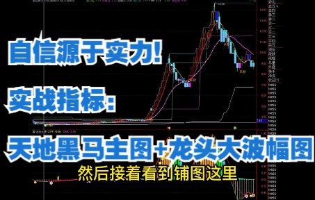 自信源于实力!实战指标:天地黑马主图+龙头大波幅图