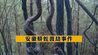 大胡子奇谈 第222集 安徽蟒蛇渡劫事件:百人目击闪电击中巨蟒,这究竟...