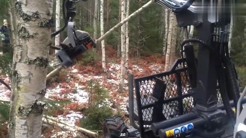 这抓树机一天的工作量,比人工效率高多了!